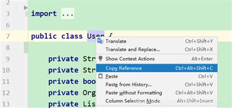 idea快速获取类的全限定名 包名 类名 idea获取全类名 csdn博客