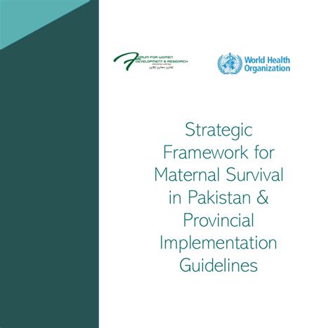 Development Of Maternal Survival Strategic Framework And Implementation