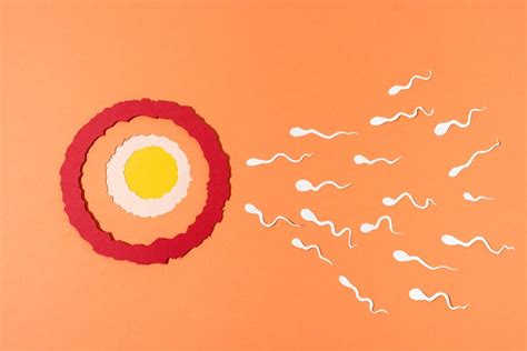 पुरुषों के लिए बेहद फायदेमंद होते हैं यह बीज तेजी से बढ़ाते है स्पर्म