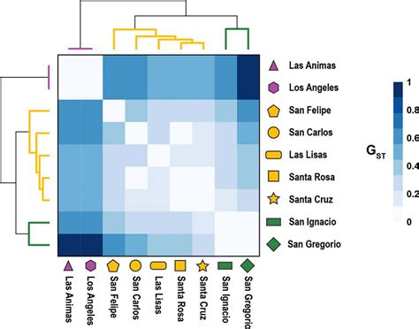 Genome Skimming Of Herbarium Specimens Reveals Phylogeographic Trends Among Populations Of An
