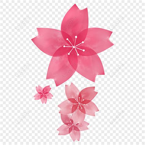 รูปภาพวาดซากุระ ดาวน์โหลดภาพ Png ฟรี พื้นหลัง Lovepik