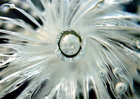 개요 진주 미술 Pixabay의 무료 사진 Pixabay