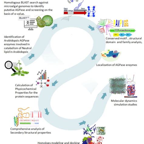 This Figure Summarizes All The Computational Methods That Were Utilized Download Scientific