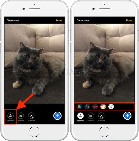 Как редактировать добавлять эффекты и текст на фото видео в Imessage на Iphone и Ipad Яблык