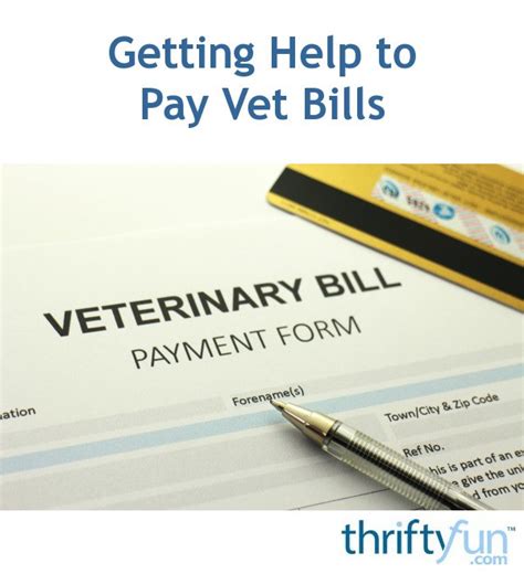 Help Paying Vet Bills Australia At James Jain Blog