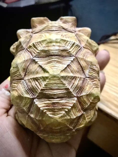 Stl File Aggressive Tortoise ️‍🔥 ・3d Printer Design To Download・cults
