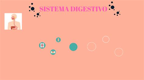 Sistema Dijestivo By Guadalupe Stella On Prezi