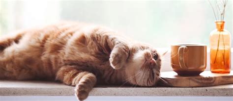 🔥 Leetcode 热题 Hot 100（41 50） 知乎