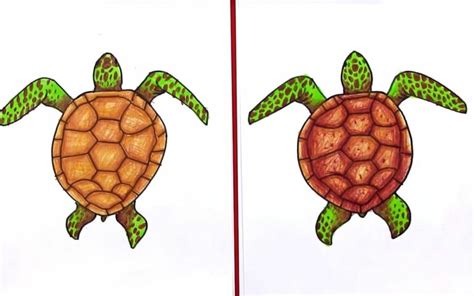 How To Draw A Turtle Easy Drawing Projects