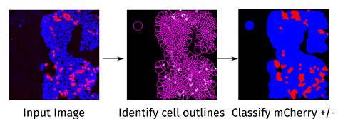 High Throughput Experimental Platforms For Polymeric Vector Discovery