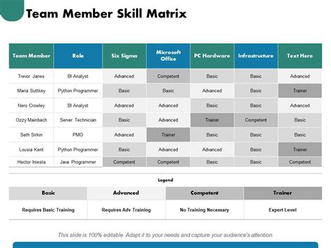 Team Member Skill Matrix Ppt PowerPoint Presentation Gallery Inspiration