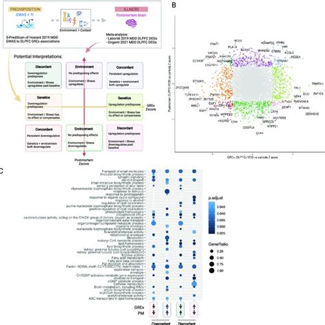 Mapping Gene Level Associations For Depression From Predisposition To