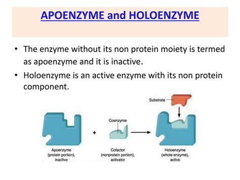 Enzyme Structure Classification And Mechanism Of Action PPT
