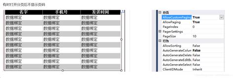 Datagrid Gridview 表格之分页显示与翻页功能及自定义翻页页码样式datagridview翻页 Csdn博客