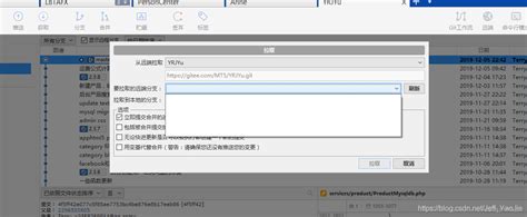 Sourcetree中git同一个项目添加多个远程仓库sourcetree添加多个远程仓库 Csdn博客