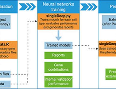 scode an efficient regulatory network inference algorithm from single