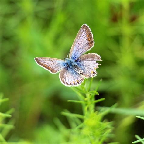 Днес е Един Прекрасен Ден