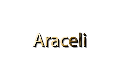 Araceli 3d Mockup 14575732 Png