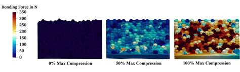 Grit 20 Surface Topography With Bonding Force At 0 50 And 100 Download Scientific Diagram