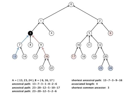 solved problem 2 shortestcommonincestor data type