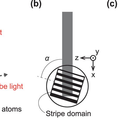 Experimental Setup A And B Schematic Drawings Of The Apparatus Download Scientific Diagram