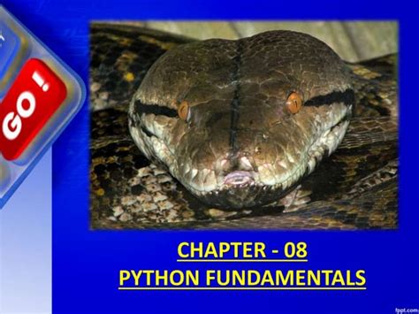 chapter 9 python fundamentals pptx programming languages computing