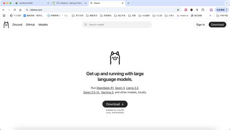 Spring Ai 使用 Elasticsearch 作为向量数据库spring Ai Starter Vector Store
