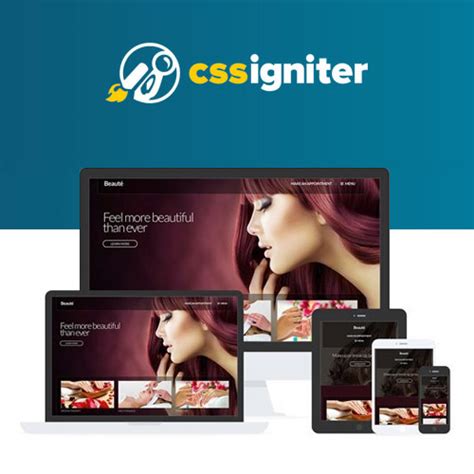 CSS Igniter Beaute WordPress Theme InfoMaxPro