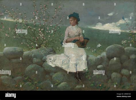 Peach Blossoms Date 1878 Artist Winslow Homer American 1836 1910