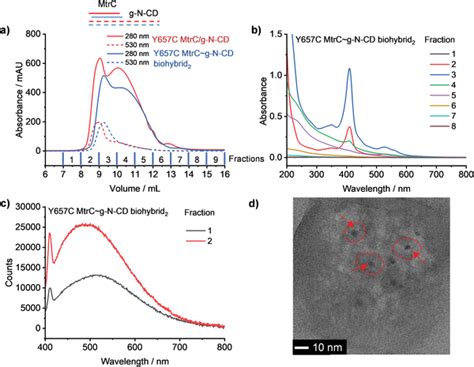 A Elution Profile On A Superdex 200 Increase 10300 Gl Sec Column Of