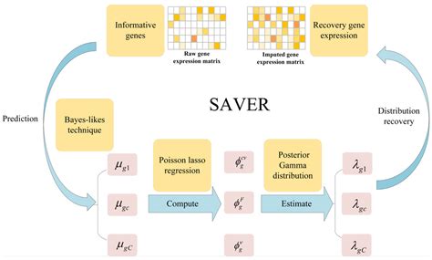 Imputation Methods for scRNA Sequencing Data
