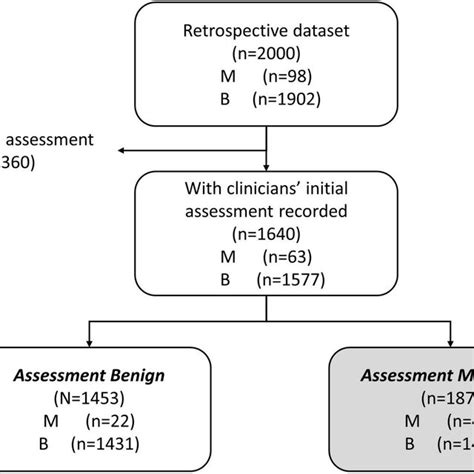 work flow diagram showing analysis data set stratified by physician