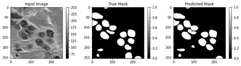 GitHub Mikylab UNET Segmentation A UNET Model Trained To Segment H E And Multi Photon Images