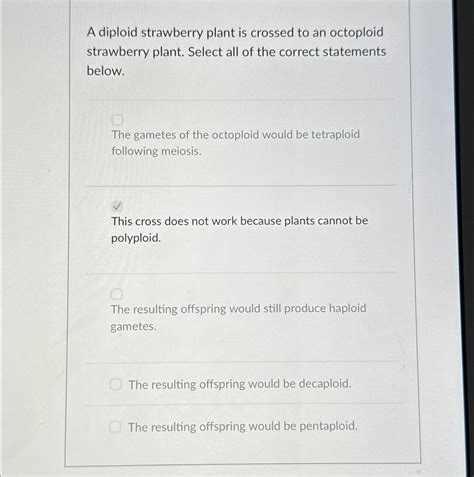 Solved A Diploid Strawberry Plant Is Crossed To An Octoploid