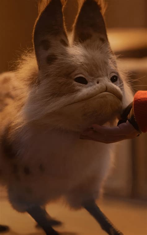 800x1280 Loth Cat Star Wars Ahsoka Nexus 7 Samsung Galaxy Tab 10 Note Android Tablets Hd 4k