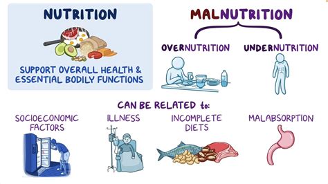Video Malnutrition Osmosis
