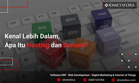 Hosting dan Domain : Pengertian, Contoh, Dan Cara Kerja IDMETAFORA ERP Developer