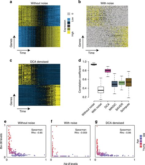 Pdf Single Cell Rna Seq Denoising Using A Deep Count Autoencoder
