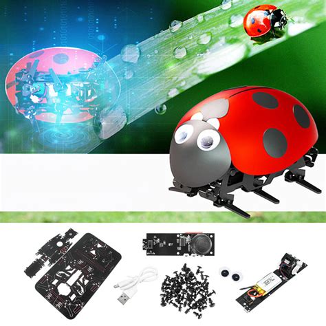 Diy Rc Ladybug Toys Assembled Remote Control Simulation With Remote