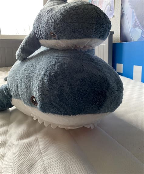 My Big And Smol Shonk Rblahaj