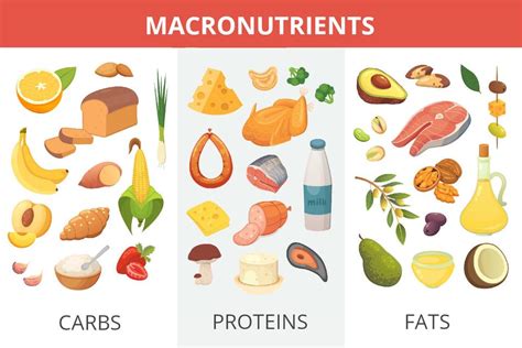 Calculating Your Macros The Ticket To Effective Fat Loss