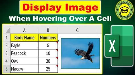 Excel Tips Display Image When Hovering Over A Cell Show Image When