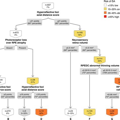 Classification Tree For Spectral Domain Sd Oct Geographic Atrophy Download Scientific Diagram