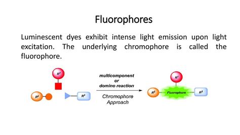 Fluorophore Dyes