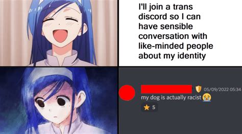 Just A Normal On A Trans Discord Server Rnonbinary