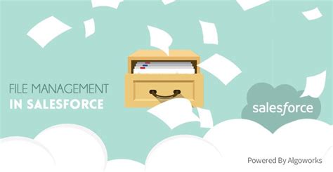 All You Need To Know About Salesforce File Management
