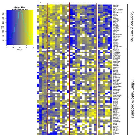 Heat Maps Showing The Result Of Hierarchical Clustering Of The Changes