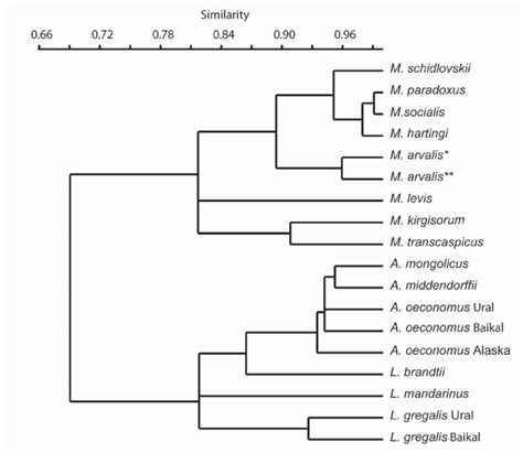 Hierarchical Cluster Analysis Dendrogram Illustrating The Phylogenetic Download Scientific