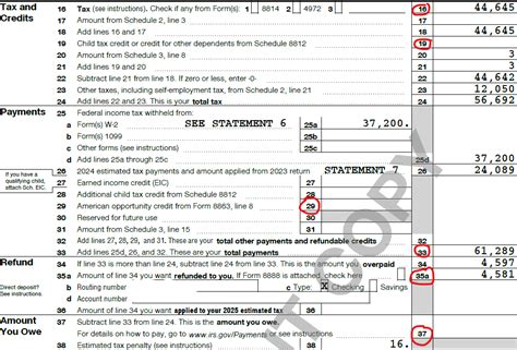 Key Lines From Your 2024 Tax Return For Better Planning Pebble Valley