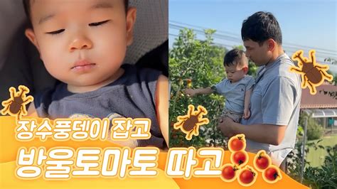 만 17개월 아들의 시골체험 Vlog 육아대디 아들육아 나지혜원장 Youtube